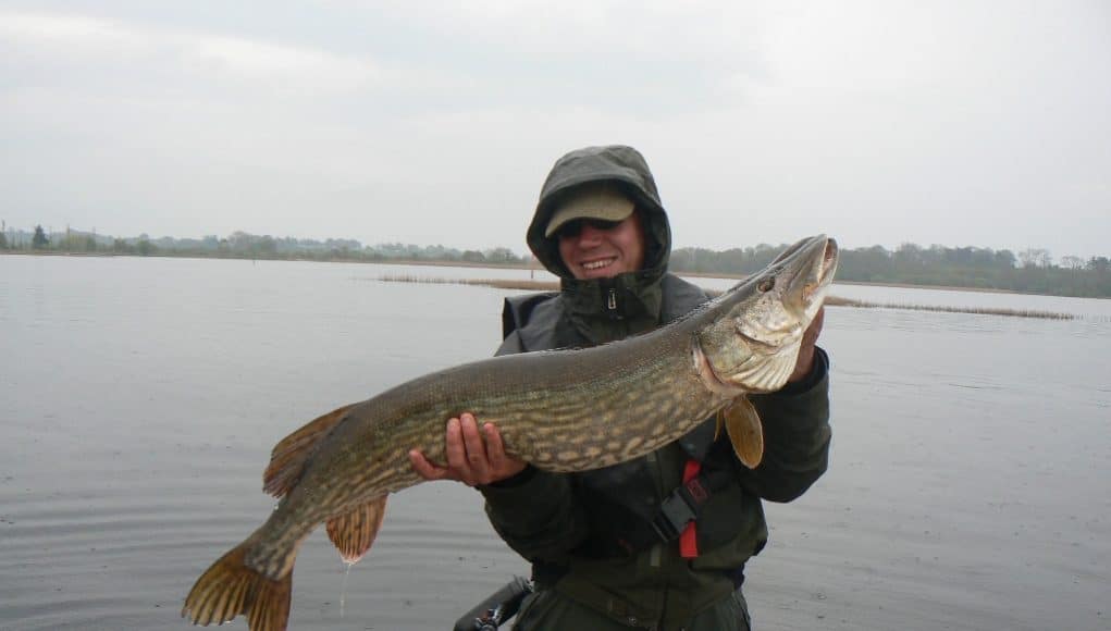 Great pike fishing at Portumna, Belgian anglers land 100 fish | Fishing ...