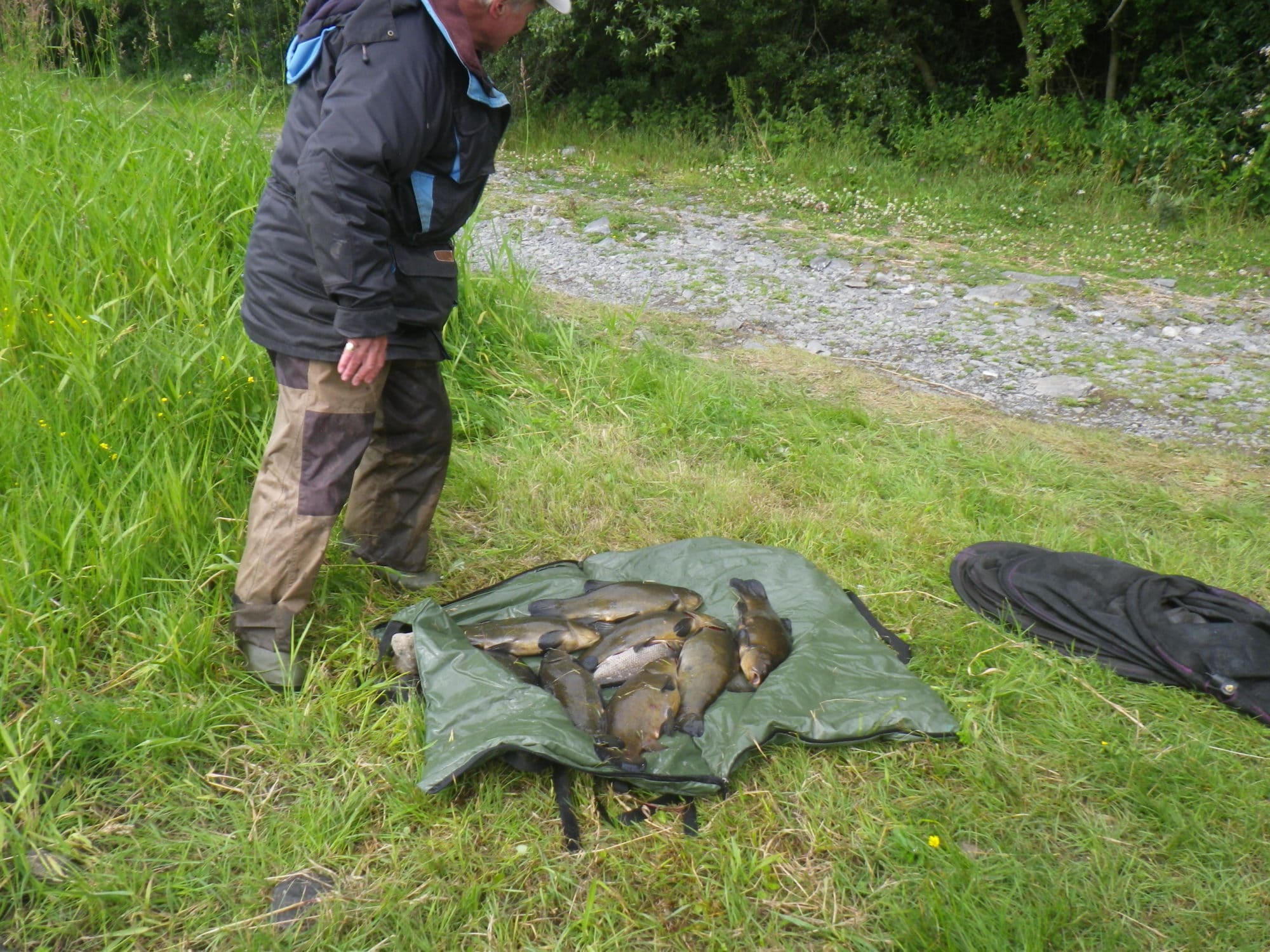 Good catches of tench in Cavan | Fishing in Ireland - Catch the unexpected