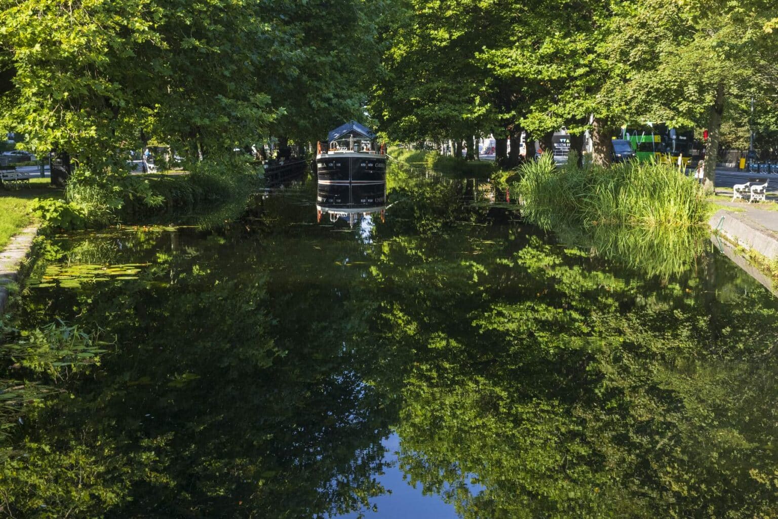 Coarse Fishing around Dublin | Fishing in Ireland - Catch the unexpected