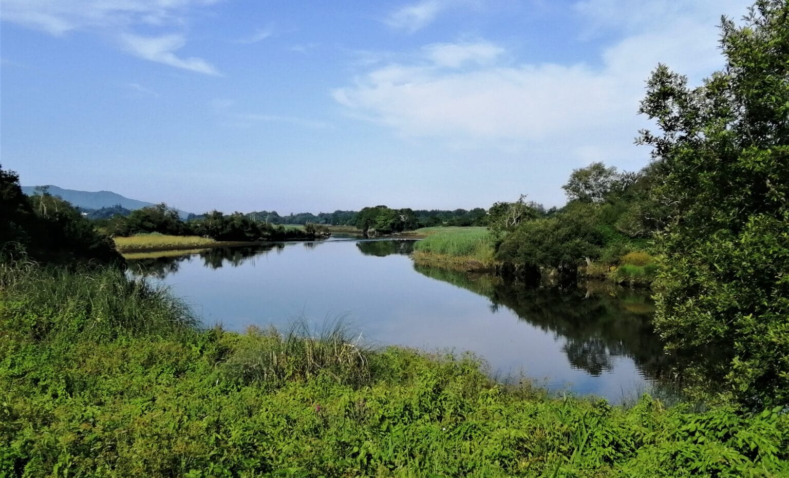 River Roughty | Fishing in Ireland - Catch the unexpected