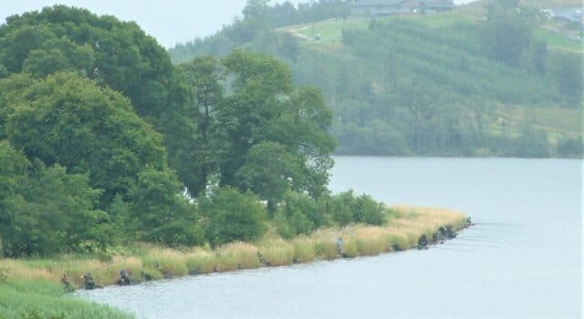 Lough Muckno | Fishing in Ireland - Catch the unexpected