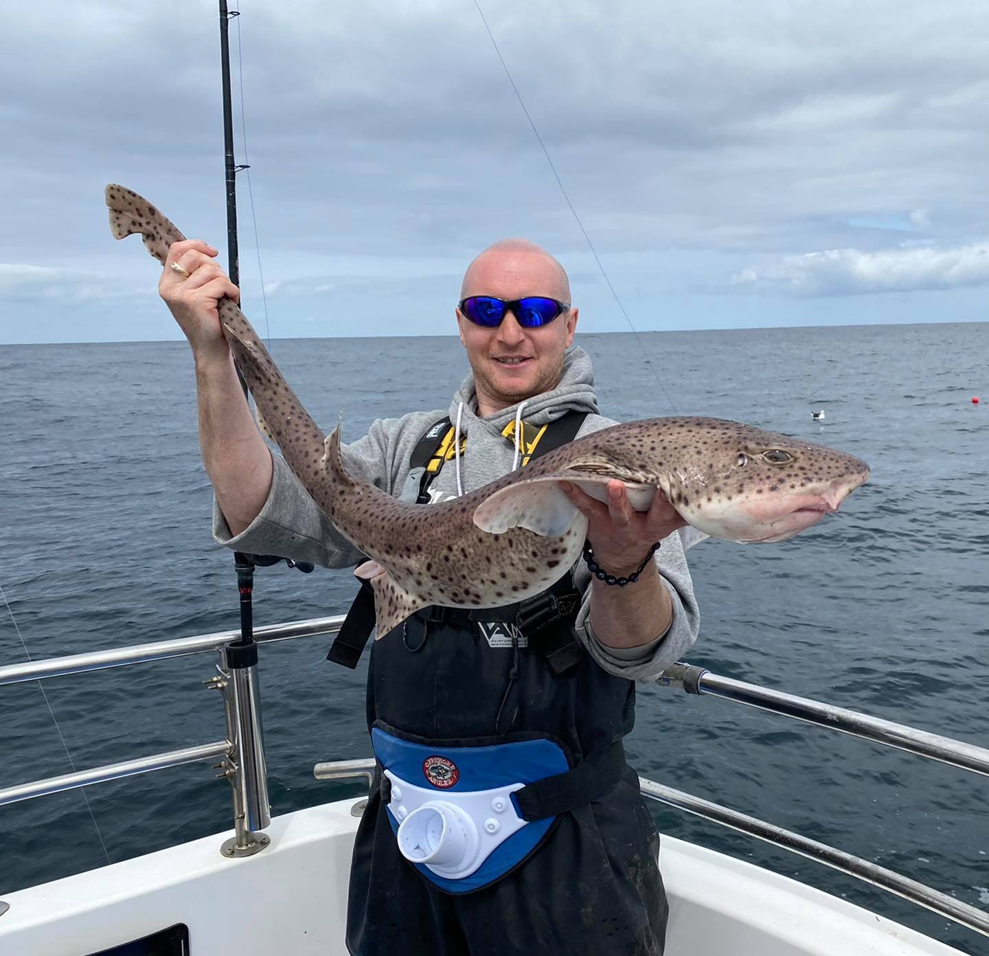 Mackerel get the predators feeding in Clare | Fishing in Ireland ...