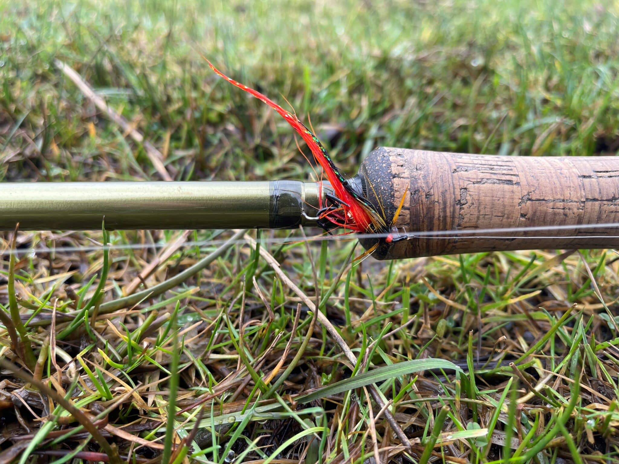 Drowes gets its first salmon, safely released | Fishing in Ireland ...