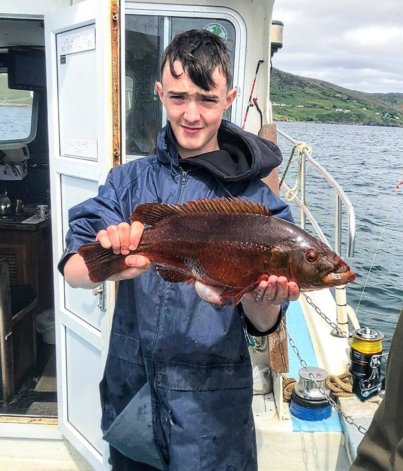 Specimen wrasse for junior member Cormac and successful last league ...