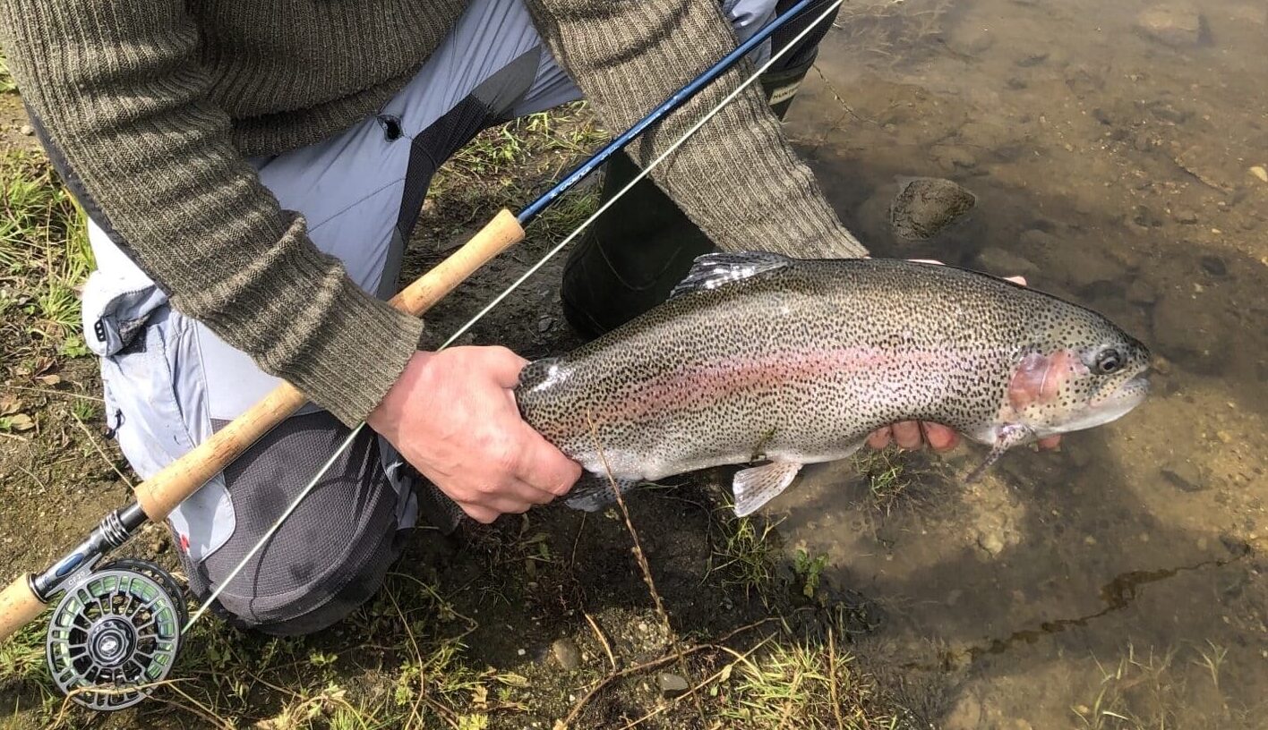 ‘Bows a plenty at Southern County | Fishing in Ireland - Catch the ...