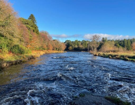 River Drowes | Fishing in Ireland - Catch the unexpected
