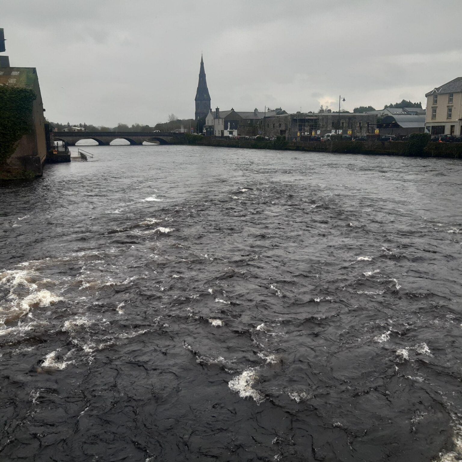 Final days of the 2025 salmon season saw some better catches on the Moy ...