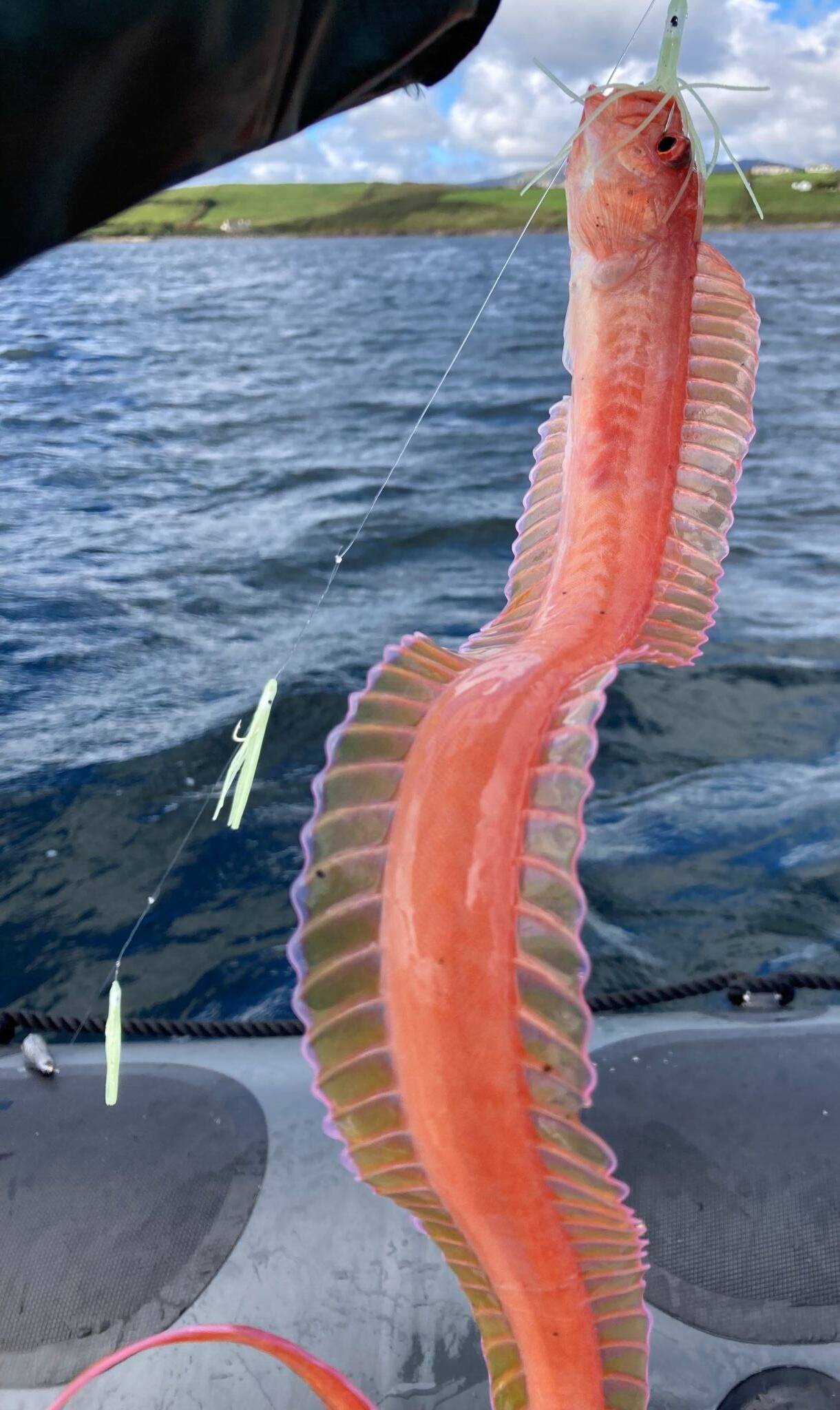 News | Fishing in Ireland - Catch the unexpected | Fishing in Ireland ...