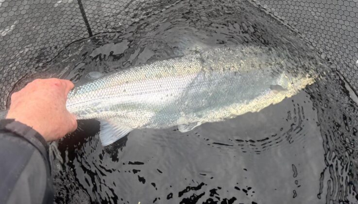 Dominic McGillicuddy catches and releases Lough Currane’s first salmon ...