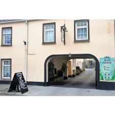 The Old Forge | Coarse angling guides in Ireland | Fishing in Ireland ...
